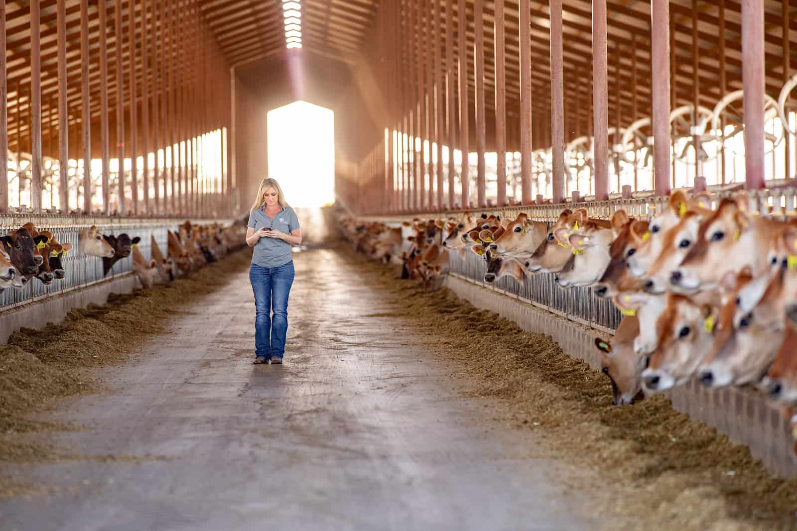 AgSource merges with sister organization to become VAS