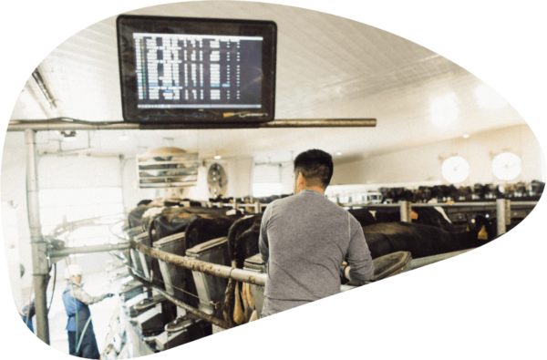 Dairy Herd Management Program - DairyComp | VAS