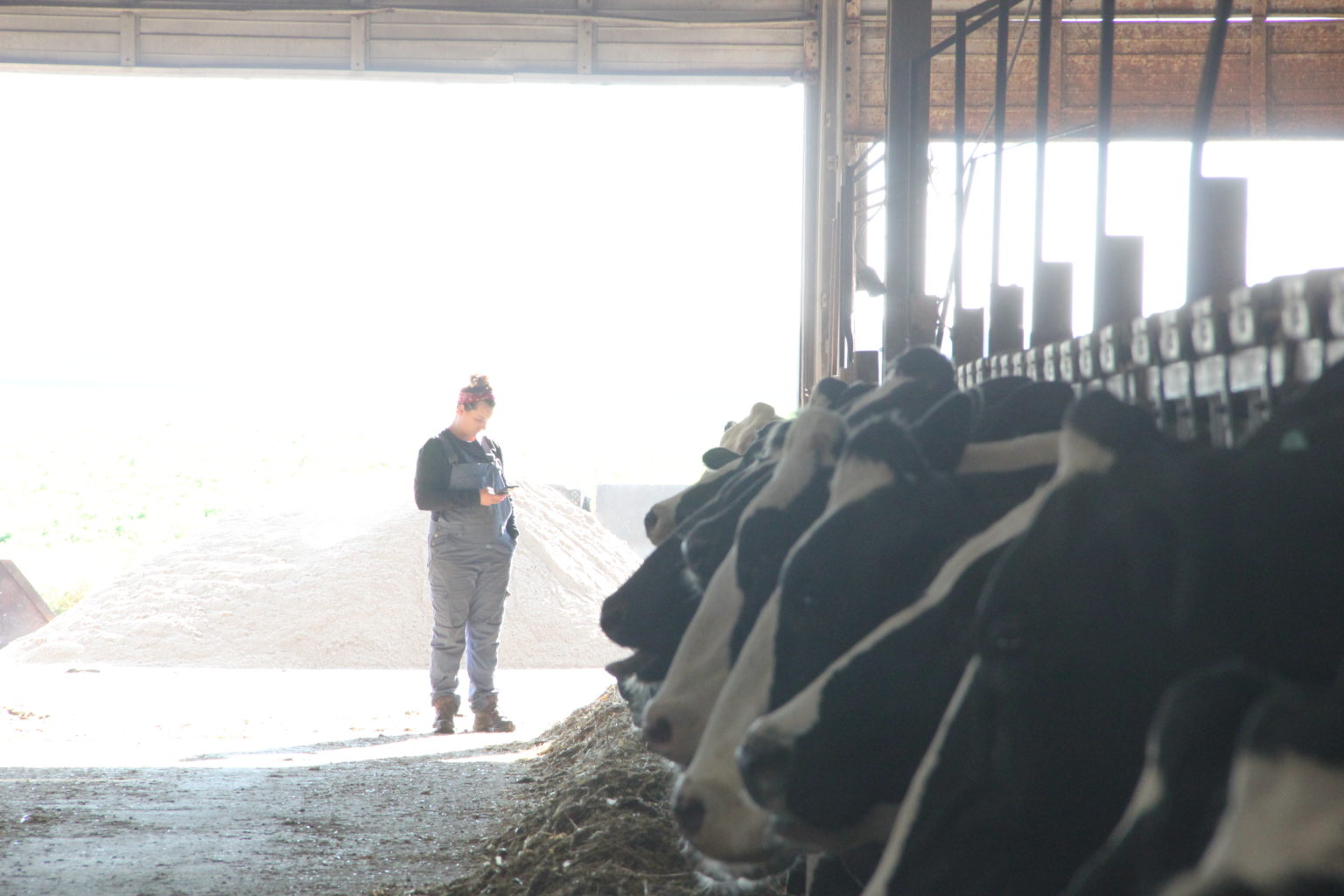 Let’s Talk Herd Management for Small to Medium Sized Herds - VAS