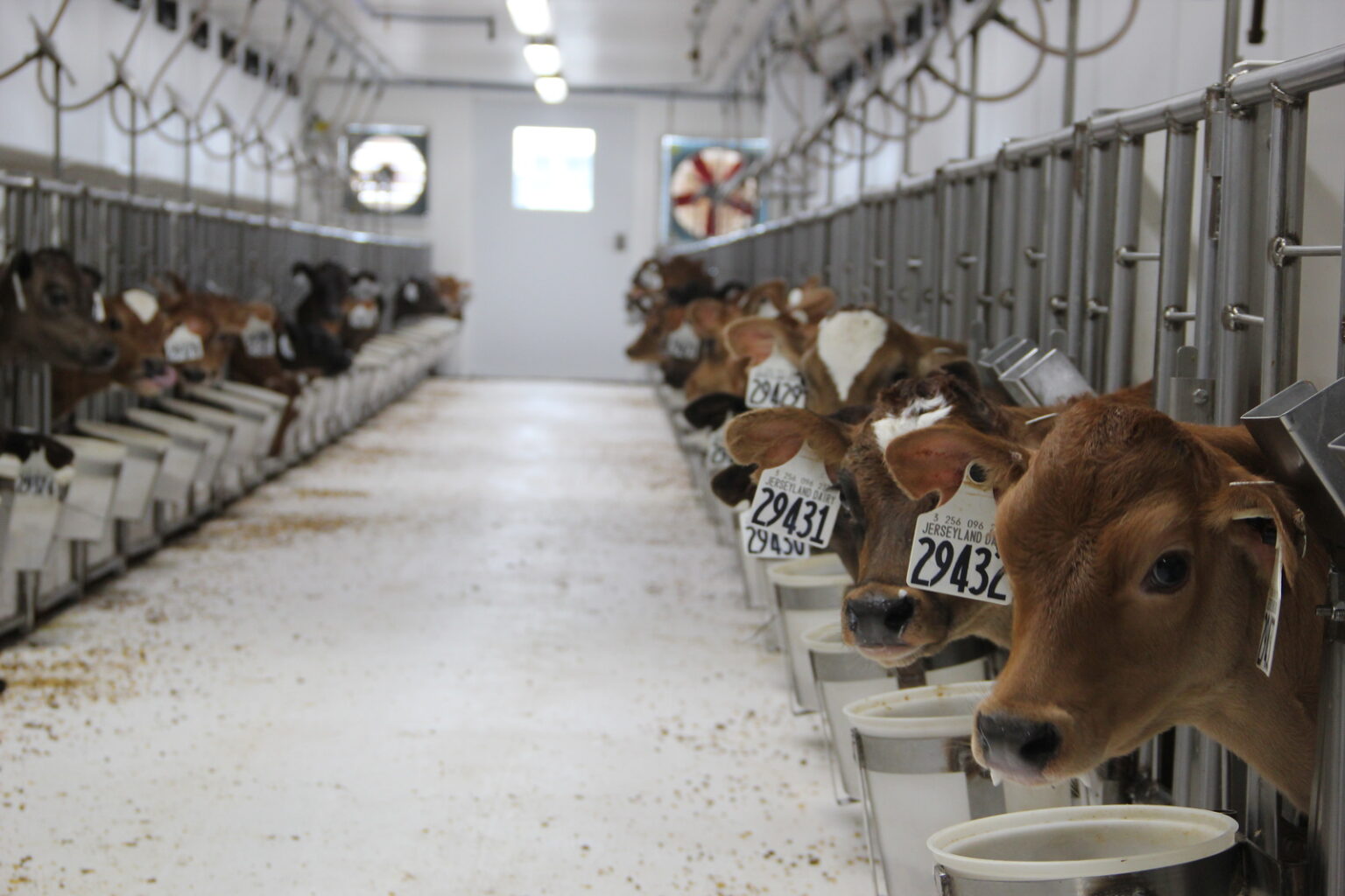 Are you using these 4 VAS essential PULSE Platform tools? - VAS