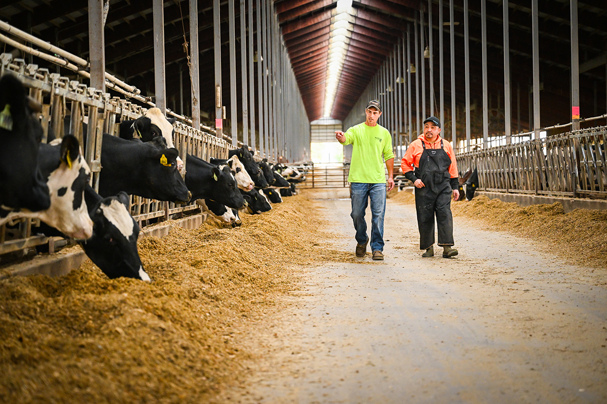 VAS PULSE Platform | The future of farm management software